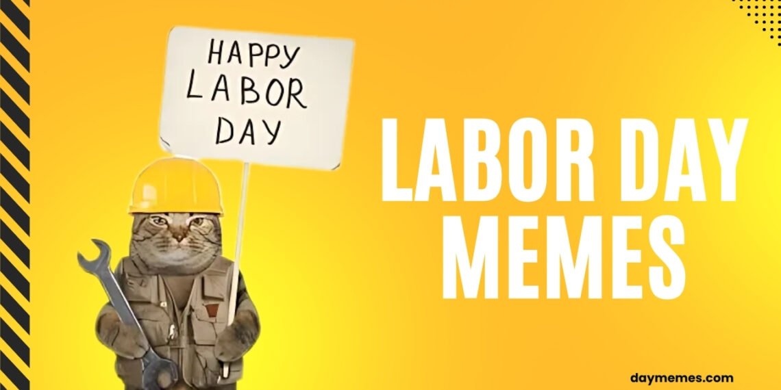 75+ Hilarious Wednesday Memes: Beat the Hump Day Blues