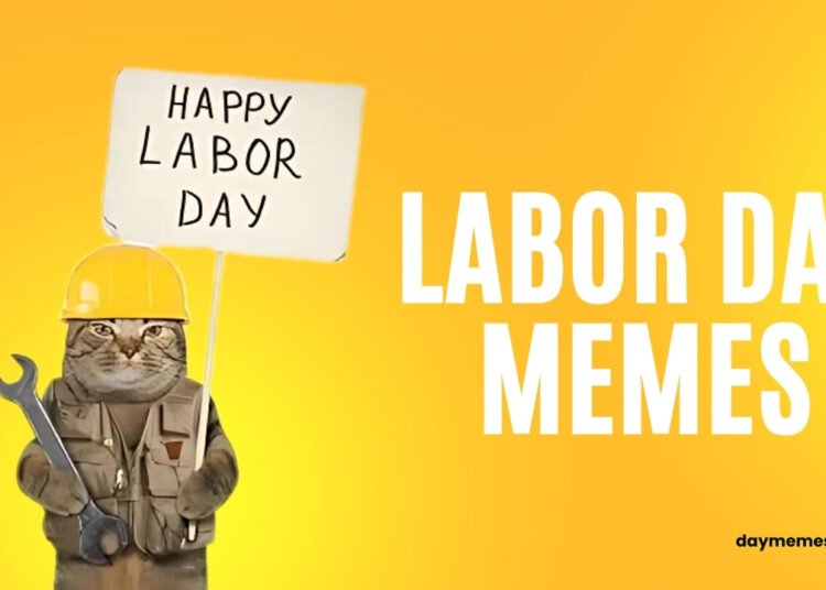 58 Tuesday Memes to Help You Survive the Week!