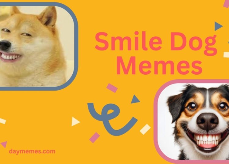 Trending Memes Hub: What's Viral Right Now