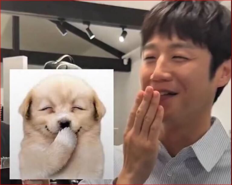 71+ Smiling Dog Memes That Will Make You Smile Instantly